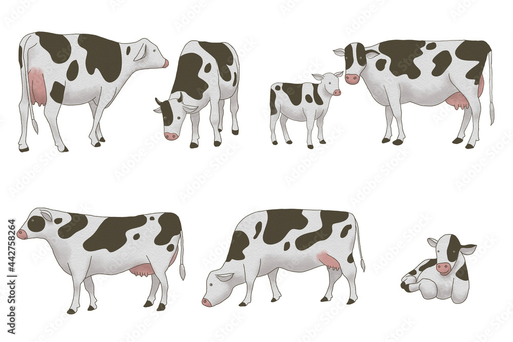 watercolor style cow on white background It's a cute cartoon set with a ...