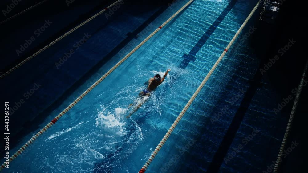 Female Swimmer Racing in Swimming Pool. Professional Athlete Overcoming ...