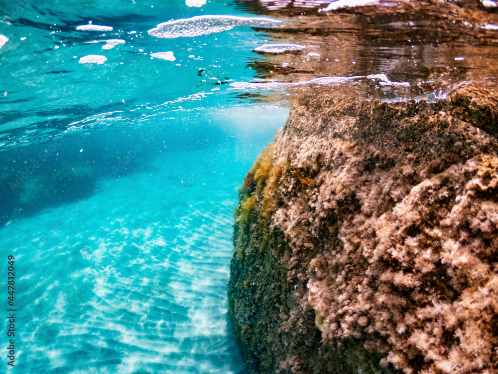 Diversity of the seabed. Blue, transparent and uncontaminated sea ...