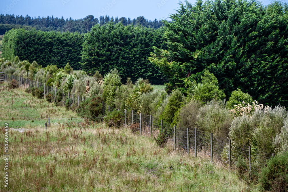 Native plants and trees are planted along farm fences and around ...