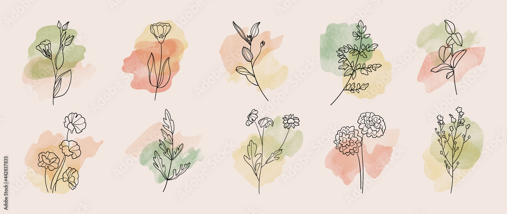 Minimal botanical hand drawing design for logo and wedding invitation ...