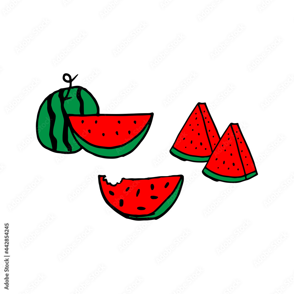 watermelon fruit illustration on white background. set of watermelon ...