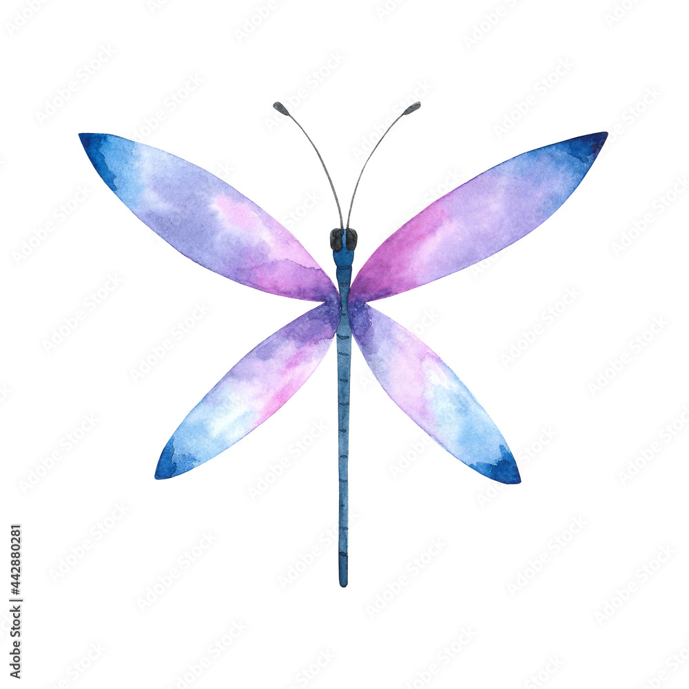 Watercolor violet dragonfly illustration. Flying insect clip art ...