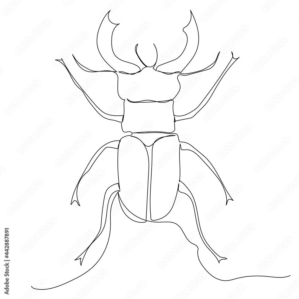 beetle drawing by one continuous line sketch, isolated, vector Stock ...