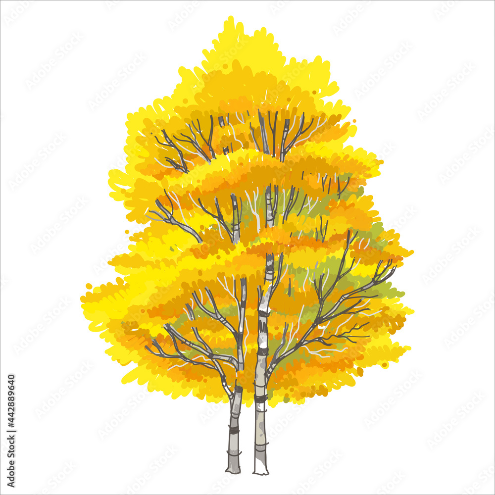 Yellow flowering tree in the garden, spring season, beautiful scenery ...