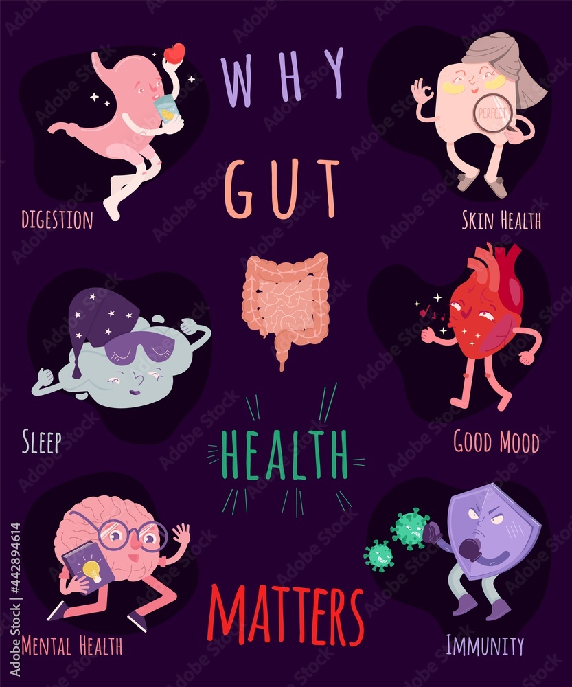 Why gut health matters. Vertical vector poster. Stock Vector | Adobe Stock