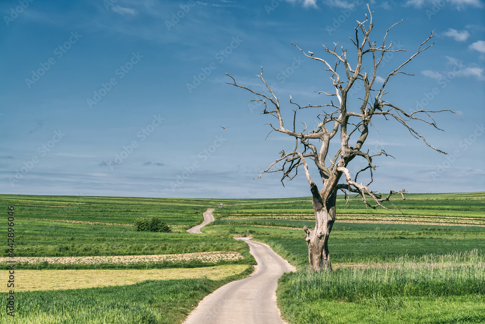 Villages In Southern Poland