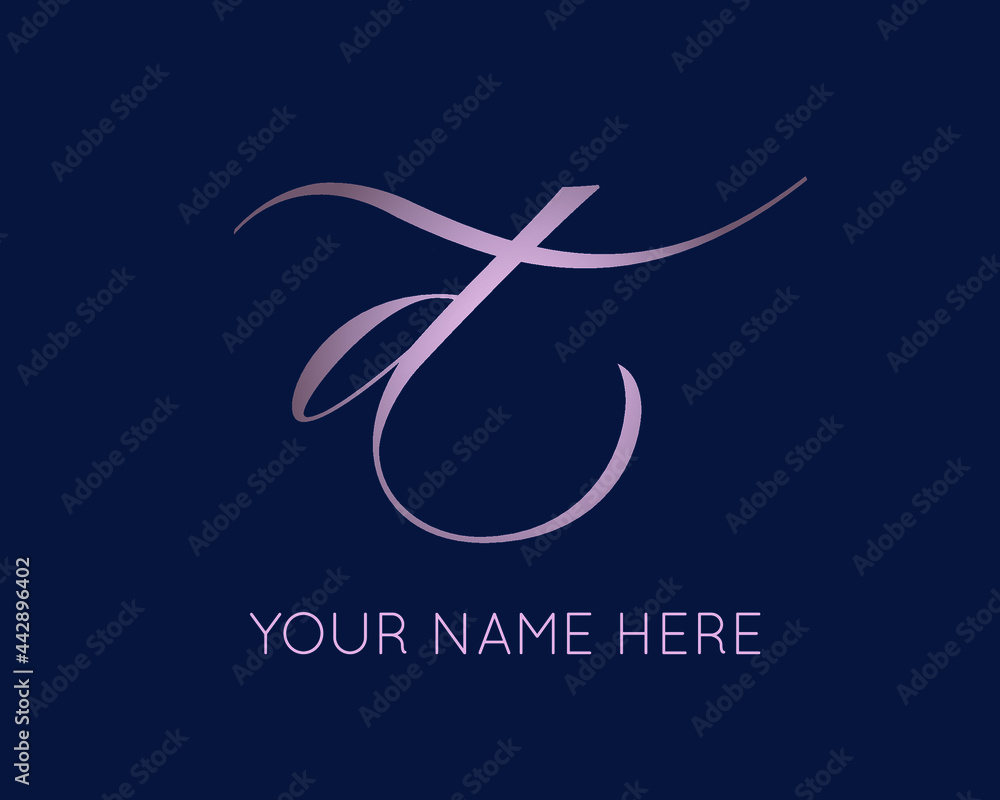 DT monogram logo.Calligraphic signature icon.Decorative letter d and ...