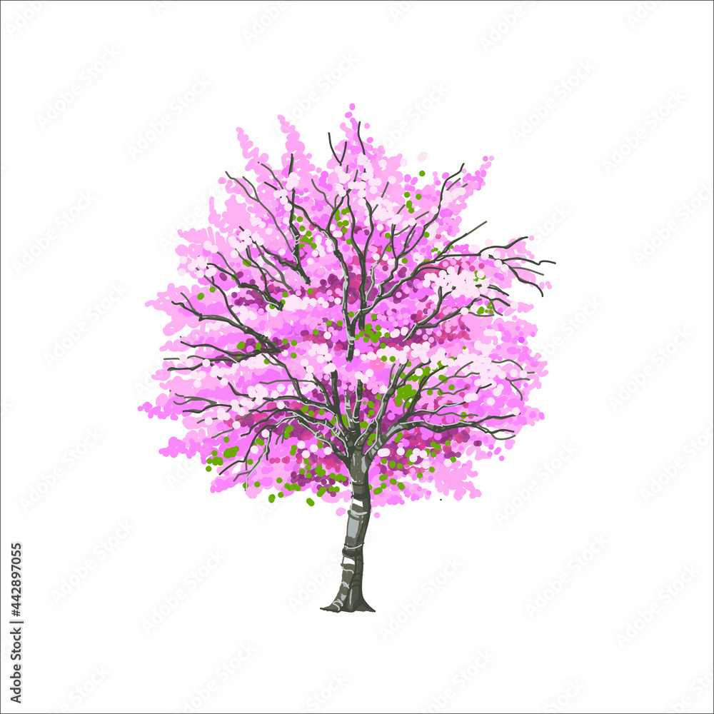 Artistic pink cheery blossom (sakura) tree in the garden, spring season ...