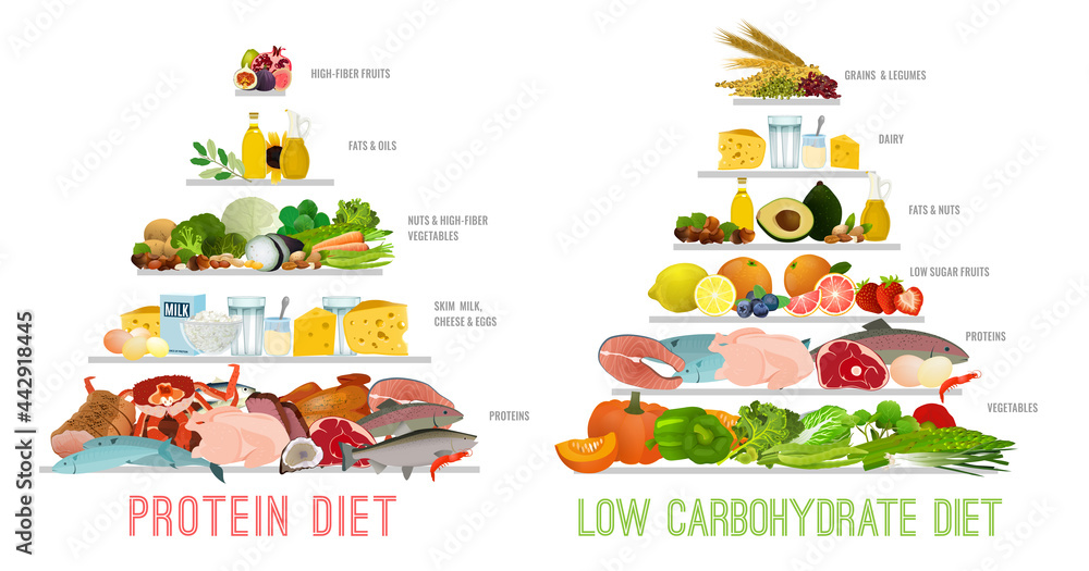 Protein Low Carb Diet. Isolated vector illustration Stock Vector ...