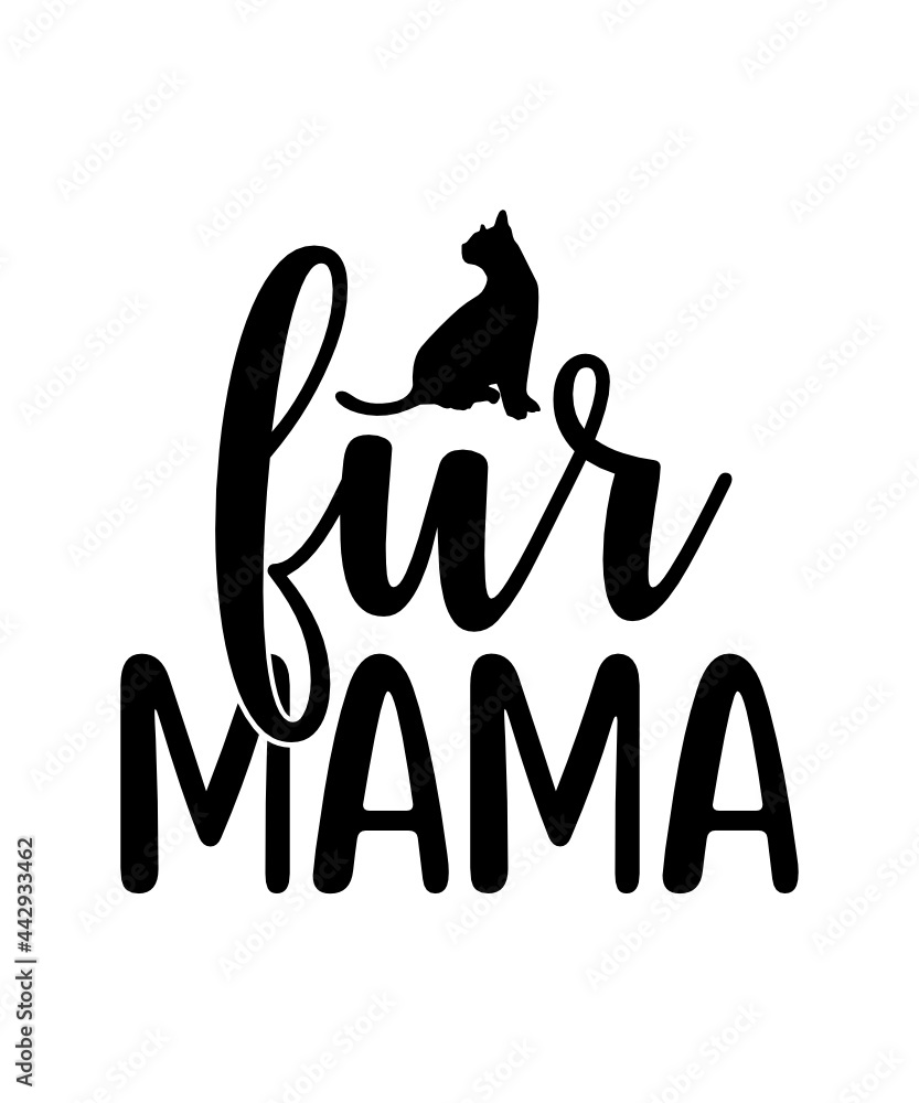 Vetor de Funny Cat SVG Bundle, Cat SVG, Kitten SVG, Cat lady svg, crazy ...