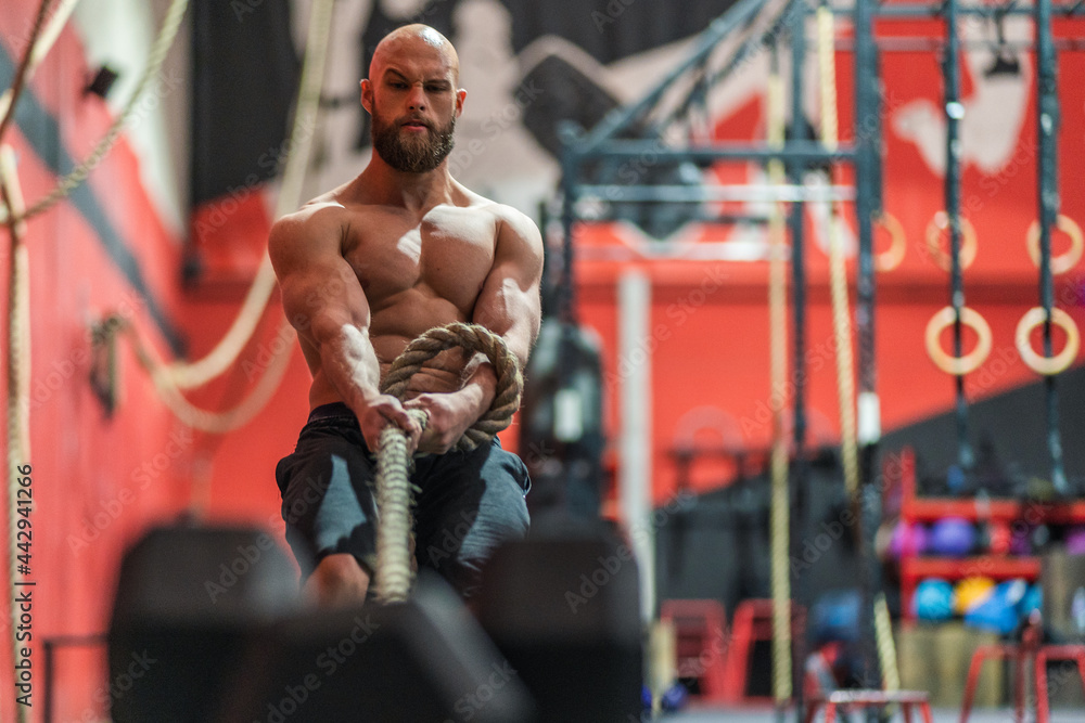 Powerful athlete pulling heavy weights Stock Photo | Adobe Stock