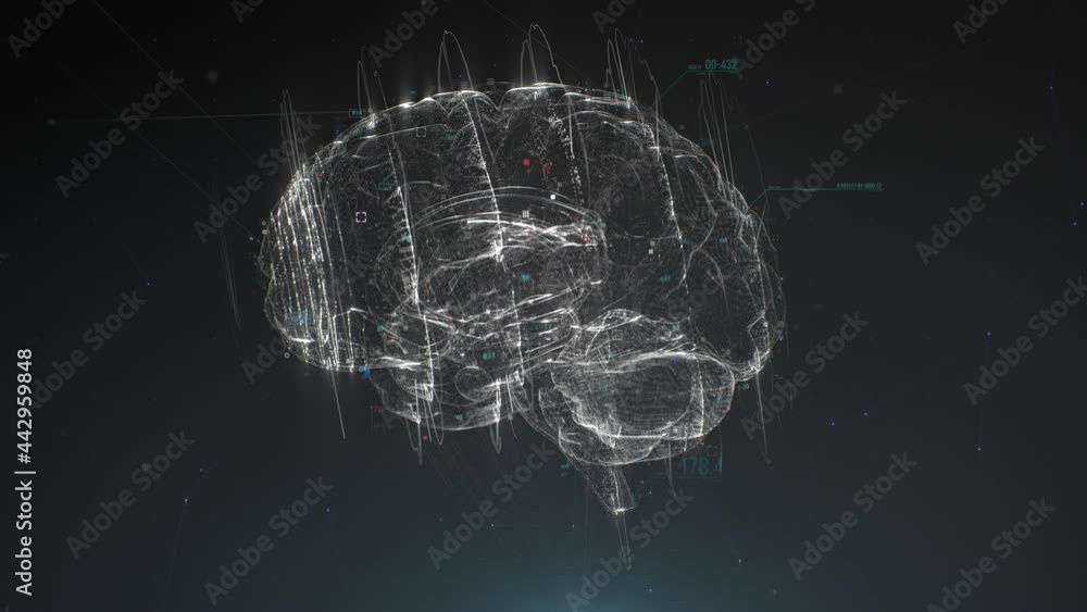 Digital model of the human brain. Brain scan technology concept ...