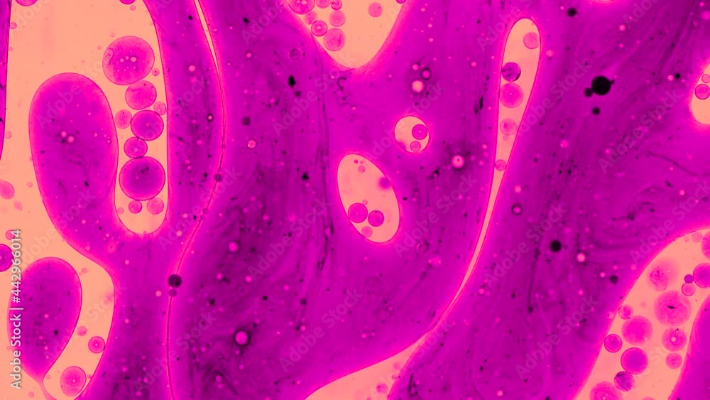 Colorful oil drops floating on water surface, top view. Fantastic ...