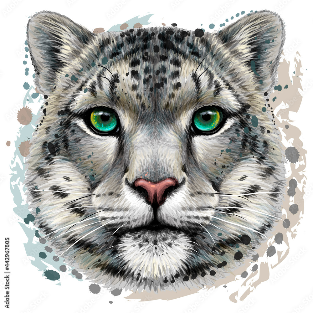 Snow leopard. Color portrait of a snow leopard in watercolor style on a ...