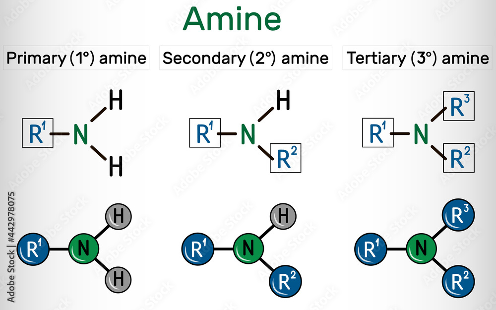 Amino group (primary, secondary, tertiary). It is functional group ...