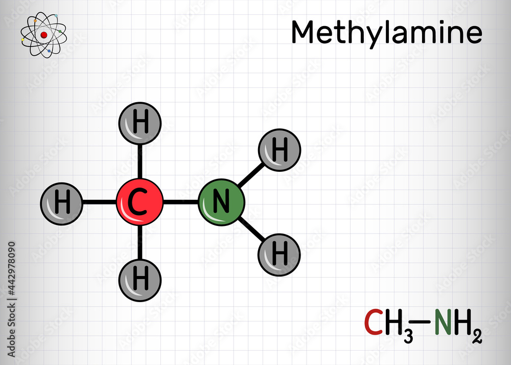 Methylamine molecule. It is simplest primary amine. Structural chemical ...