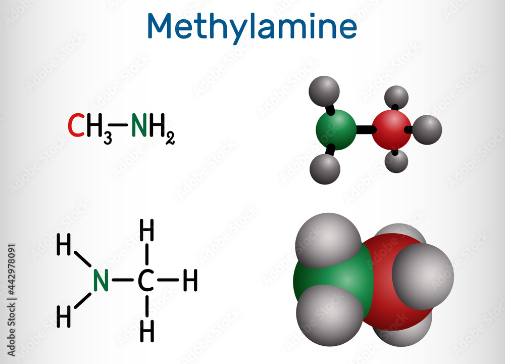 Methylamine molecule. It is simplest primary amine. Structural chemical ...