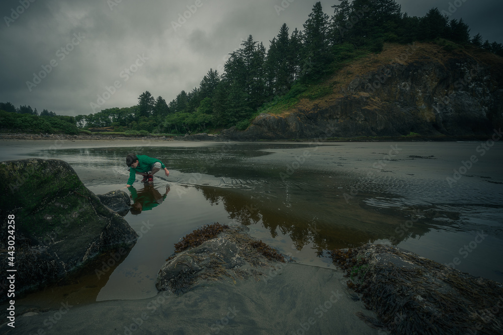 Young child exploring tide pools on the Pacific Northwest coastal ...