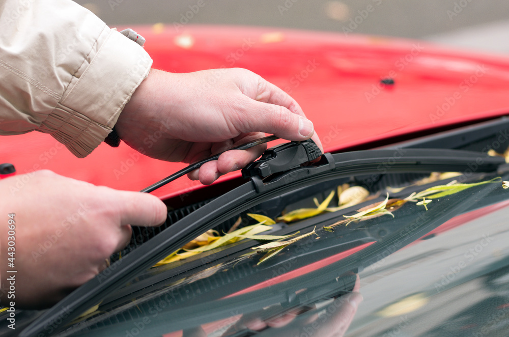 Man installs a new wiper blade without a trademark on the windshield of ...