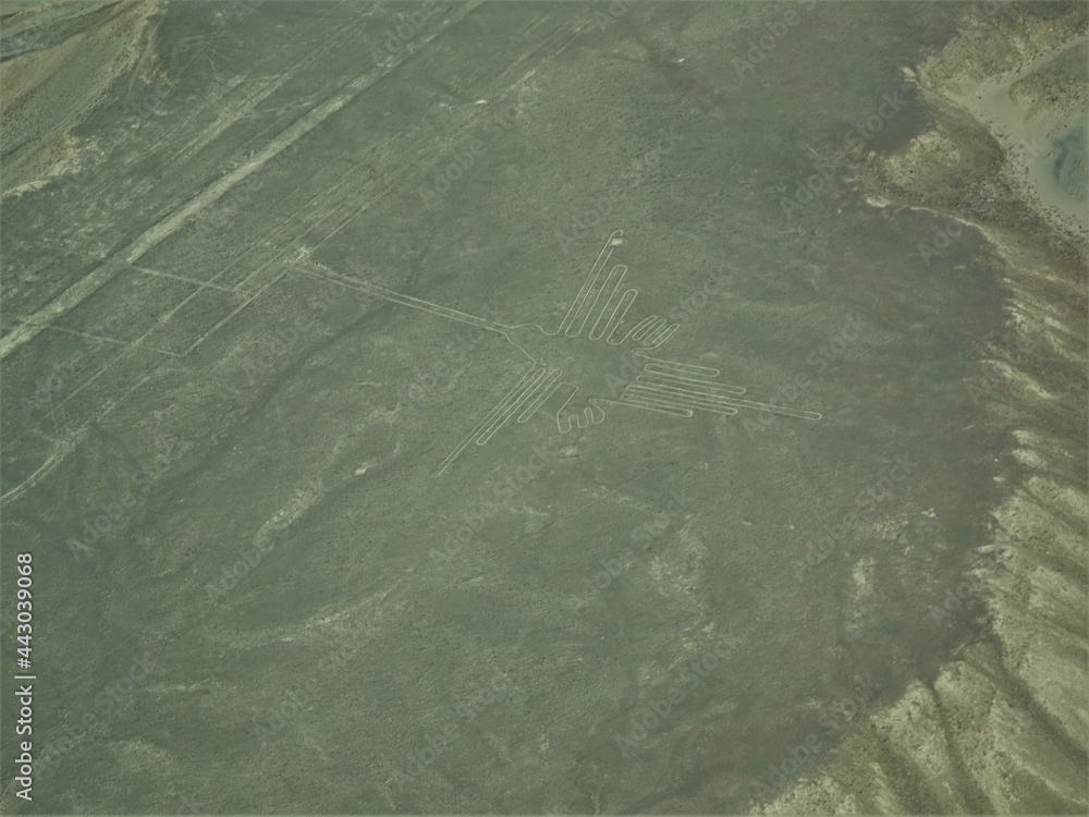 [Peru] The Hummingbird geoglyph, Lines and Geoglyphs of Nasca (Nazca ...