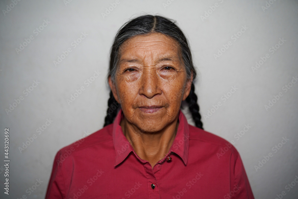 retrato rostro mujer mestiza, desendencia indigena de los andes ...