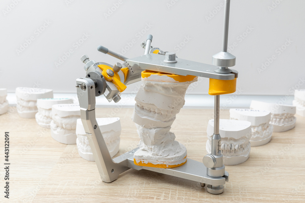 Dental articulator with dental teeth prosthesis model in dental madical ...