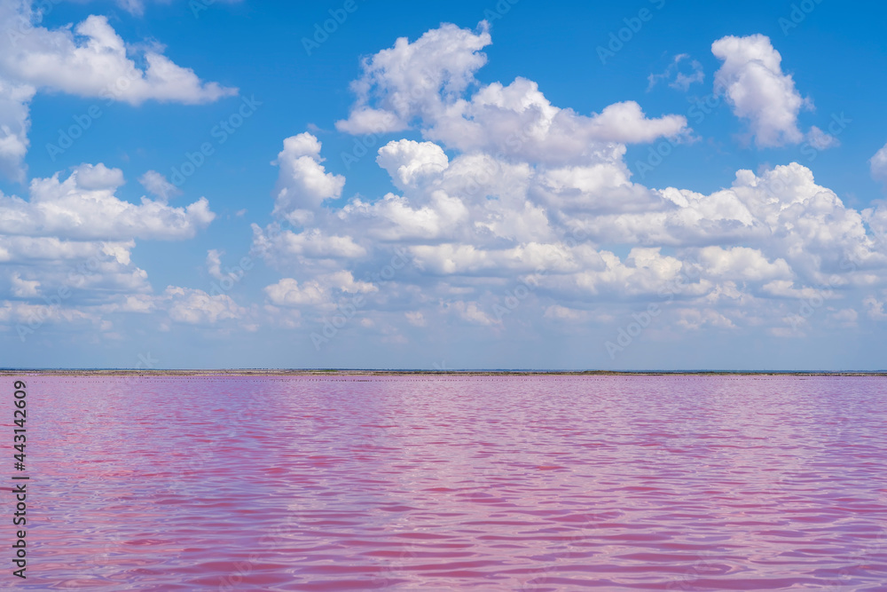 Pink color of salt lake and deep blue sky, minimalistic natural ...