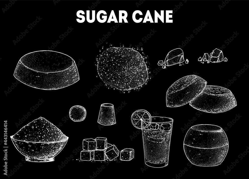 Brown Sugar Organic Unrefined. Sugar cane sketch collection. Hand drawn ...