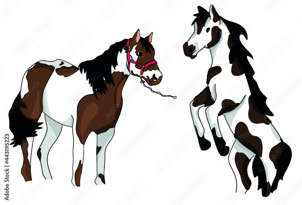 Vector cute paint-horse breed colored illustration set Stock Vector ...
