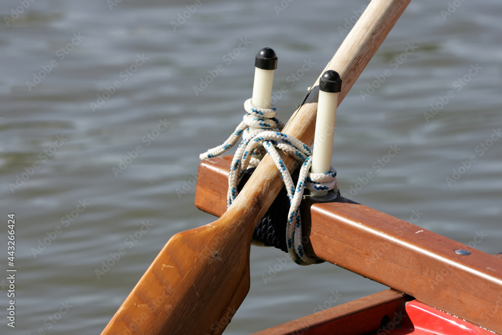 steering oar of a dragon boat Stock Photo | Adobe Stock