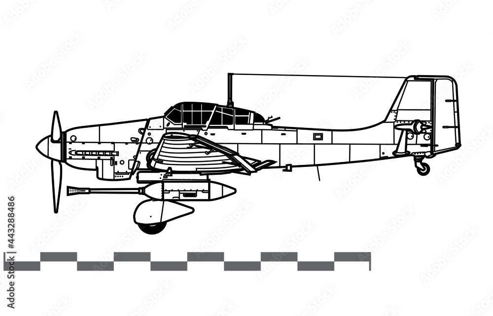Junkers Ju 87G Stuka with Bordkanone BK 3,7 cannons. Vector drawing of ...