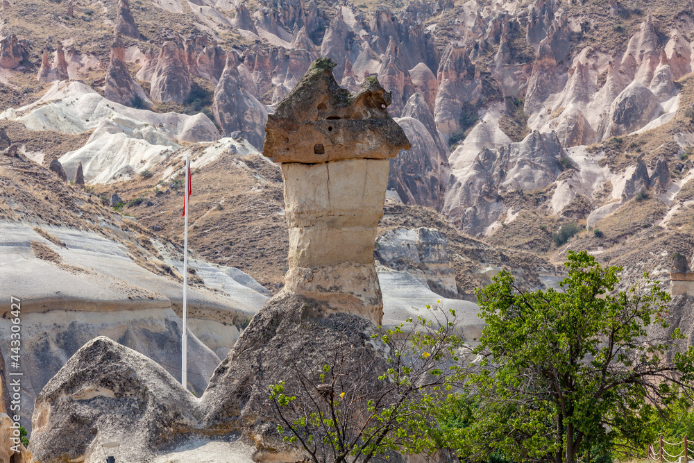 Photo The infamous fairy chimneys of Cappadocia, Turkey, Chantal Reed ...
