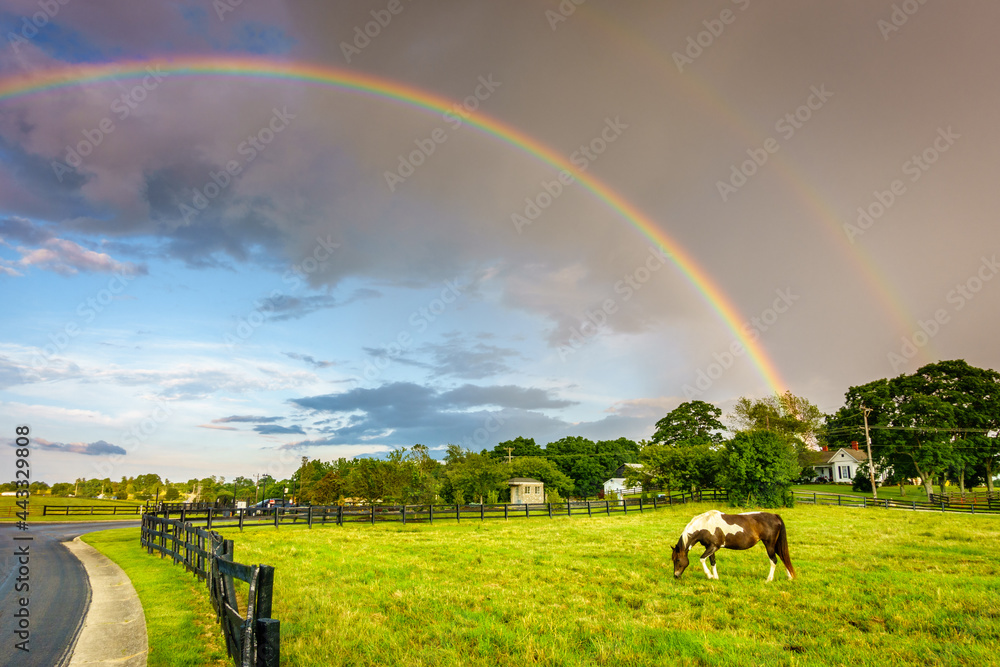 Rainbow over pasture Stock Photo | Adobe Stock