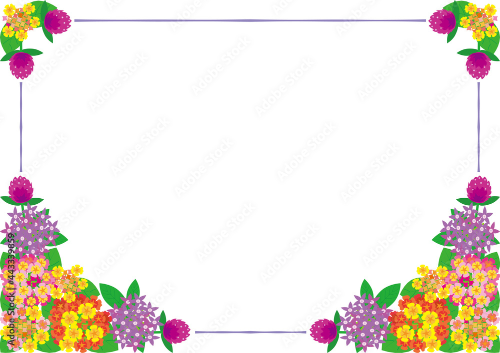 Lantana, Globe Amaranth, Bouvardia Flowers Border Frame Background ...