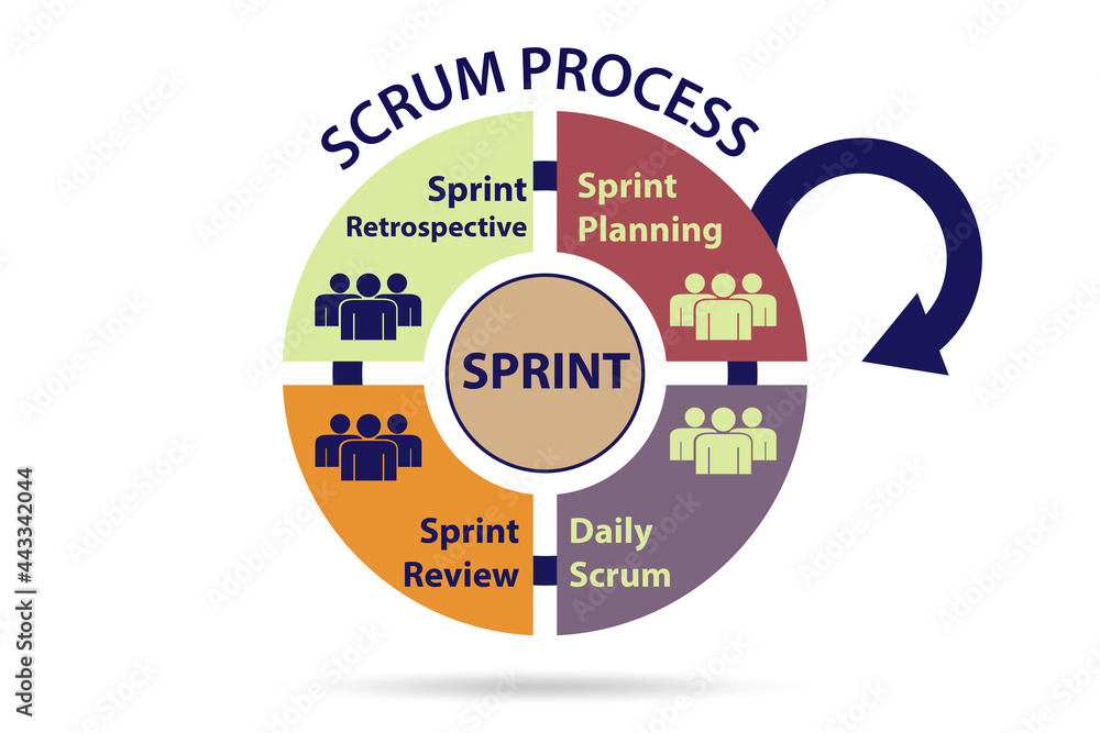 Scrum process illustration - agile method Stock Illustration | Adobe Stock