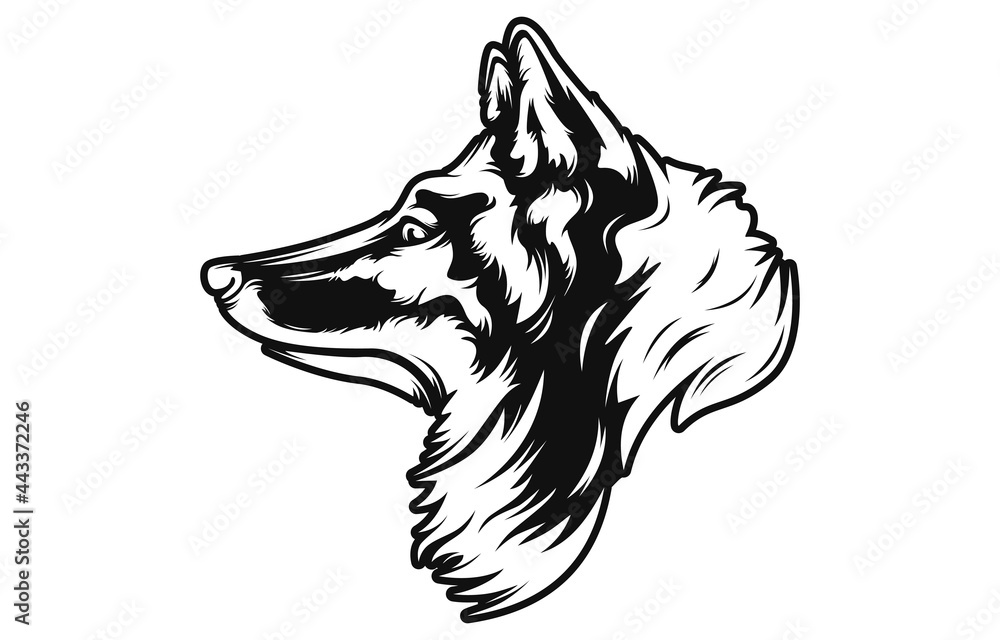 Fox head hunting logo.Vintage portrait of black fox on white background ...