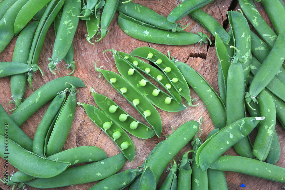 green peas as vegan healthy food Stock Photo | Adobe Stock