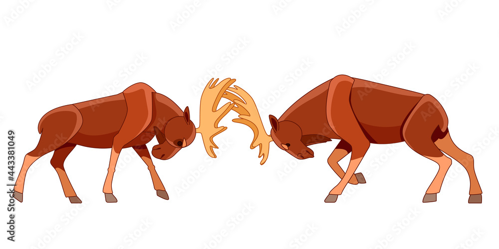 Two bull moose or elk fighting. Wildlife scene. Cartoon character ...