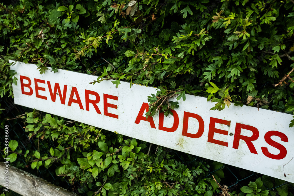 Warning Sign for Adder Snakes in British Countryside near Bristol ...