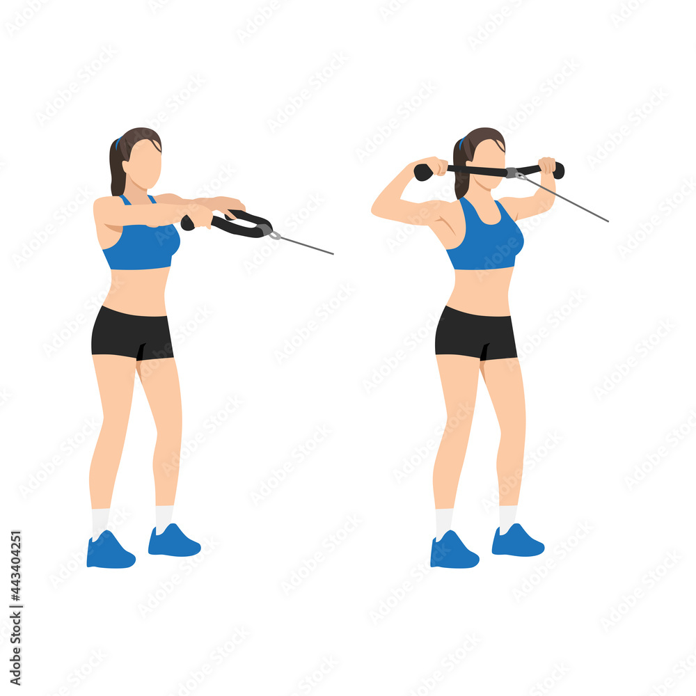 Woman doing Face pull. rear felt pull exercise. Flat vector ...