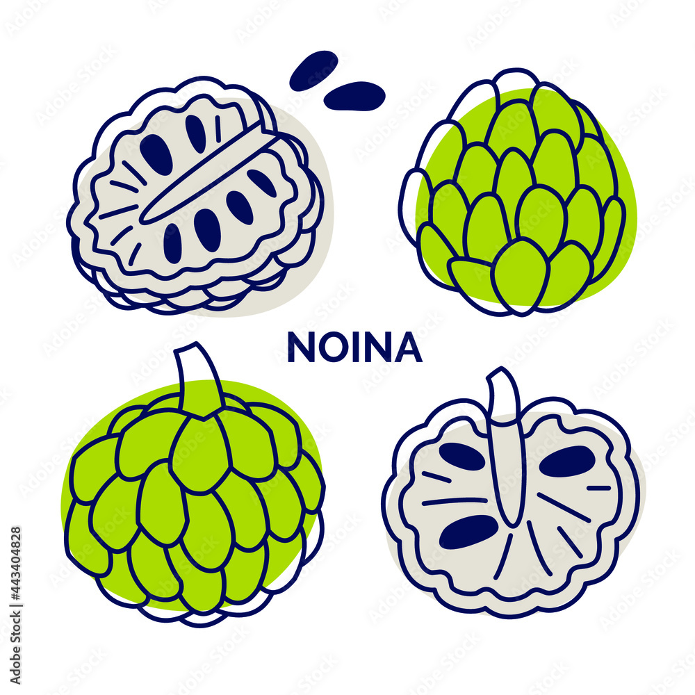 Noina tropical fruit icons collection. Exotic and dessert fruits ...