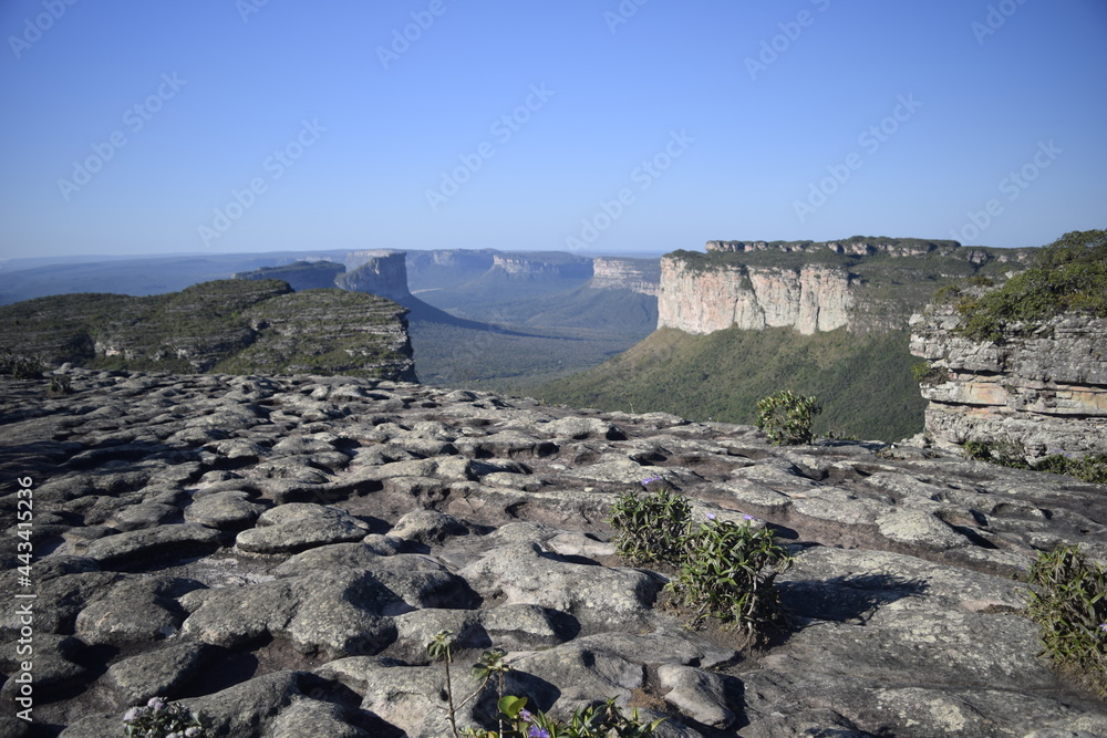 chapada diamantina Stock Photo | Adobe Stock