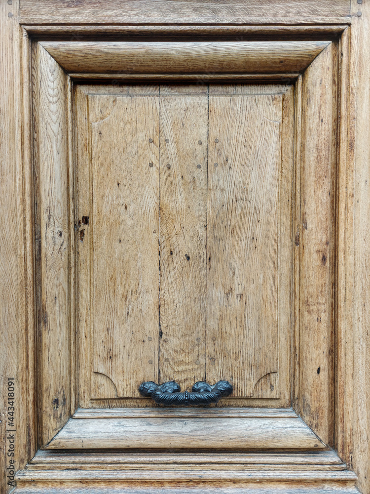 TEXTURE BOIS CHÊNE - Ancienne porte 1900 de Paris Stock Photo | Adobe Stock
