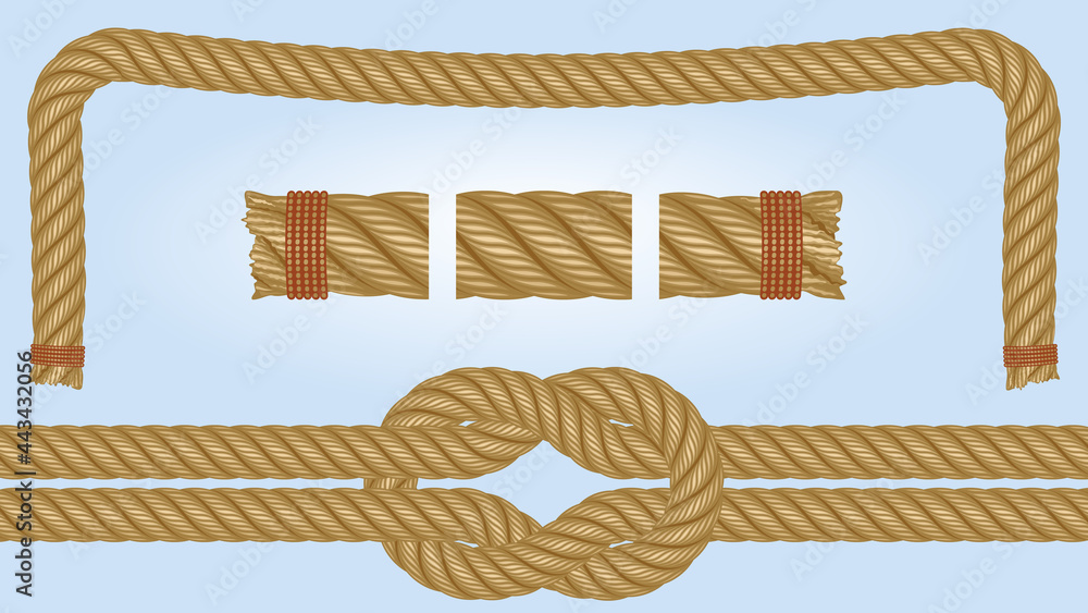 how to draw a rope knot in illustrator