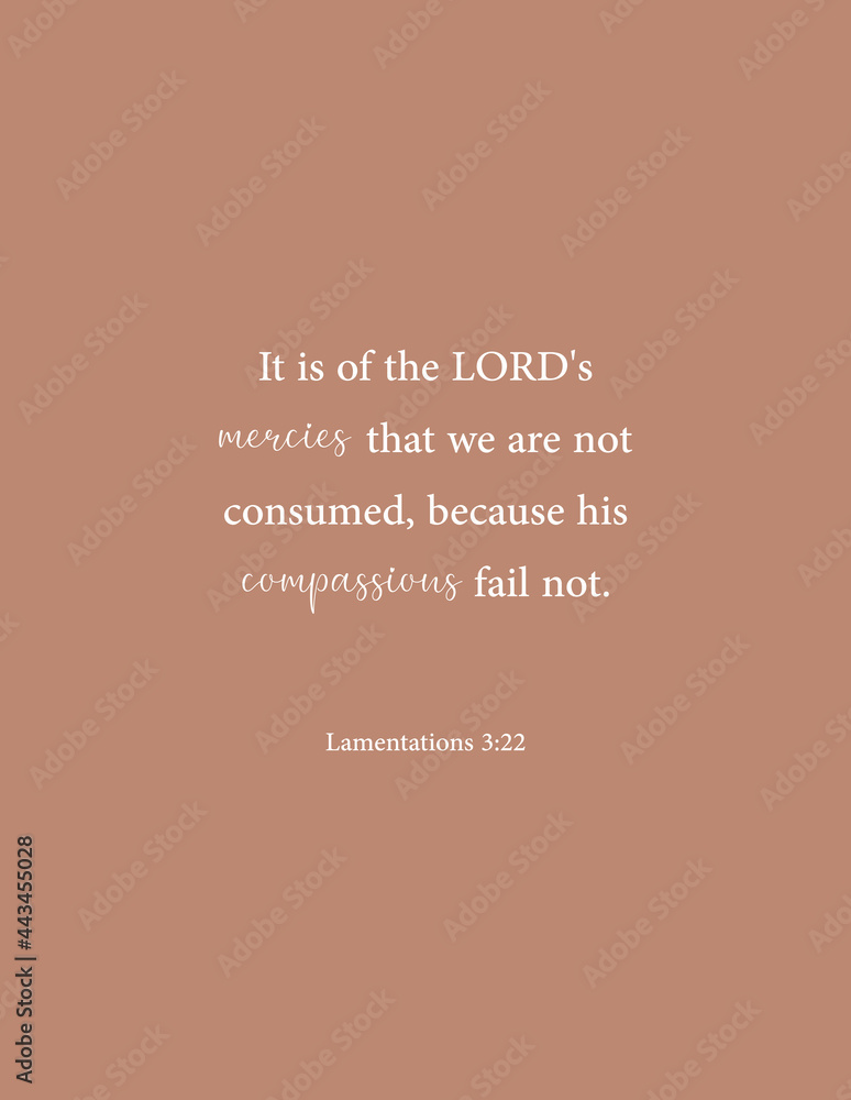 Because his compassions fail not, Lamentations 3:22, bible verse ...