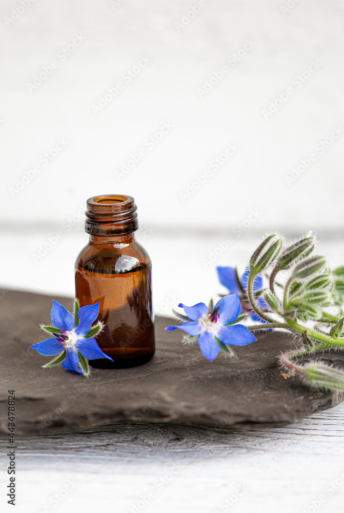 Borage Oil Liquid