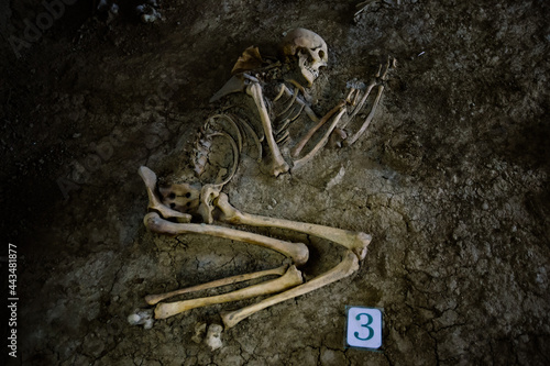 Old human skeleton in ancient tomb at archaeological excavation Stock ...