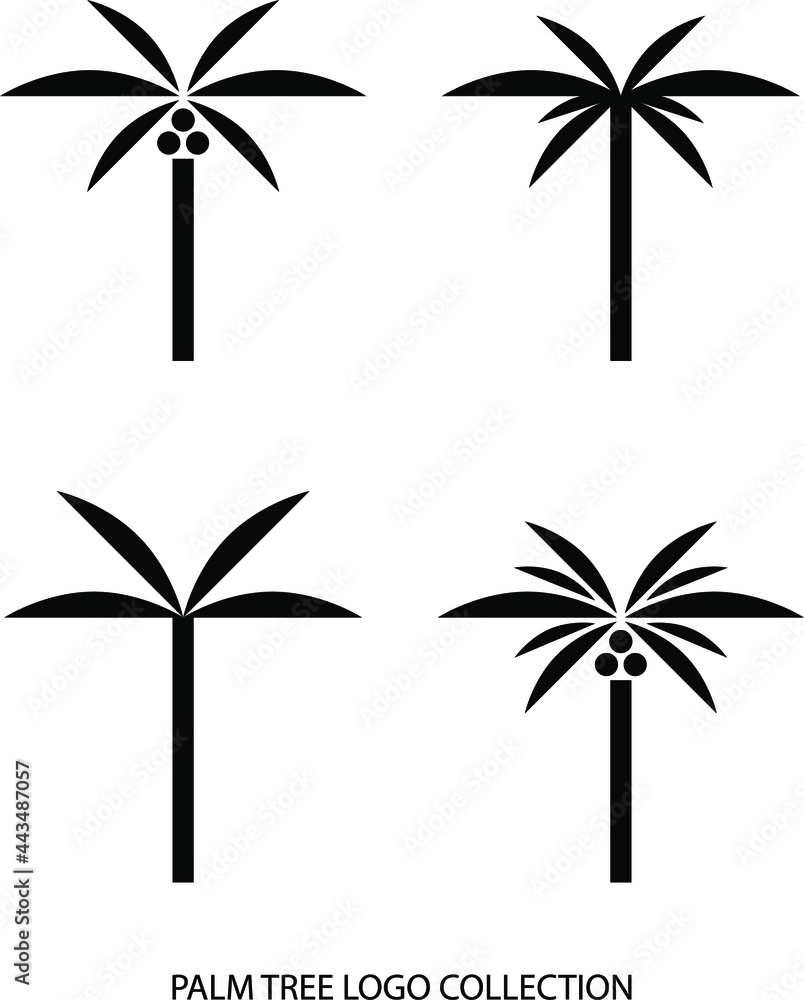 Palm logos for your design. Palm trees. Palm vector illustration. Icon ...