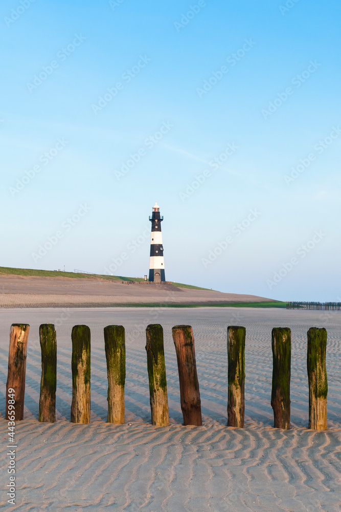 Beach at Breskens in spring Stock Photo | Adobe Stock